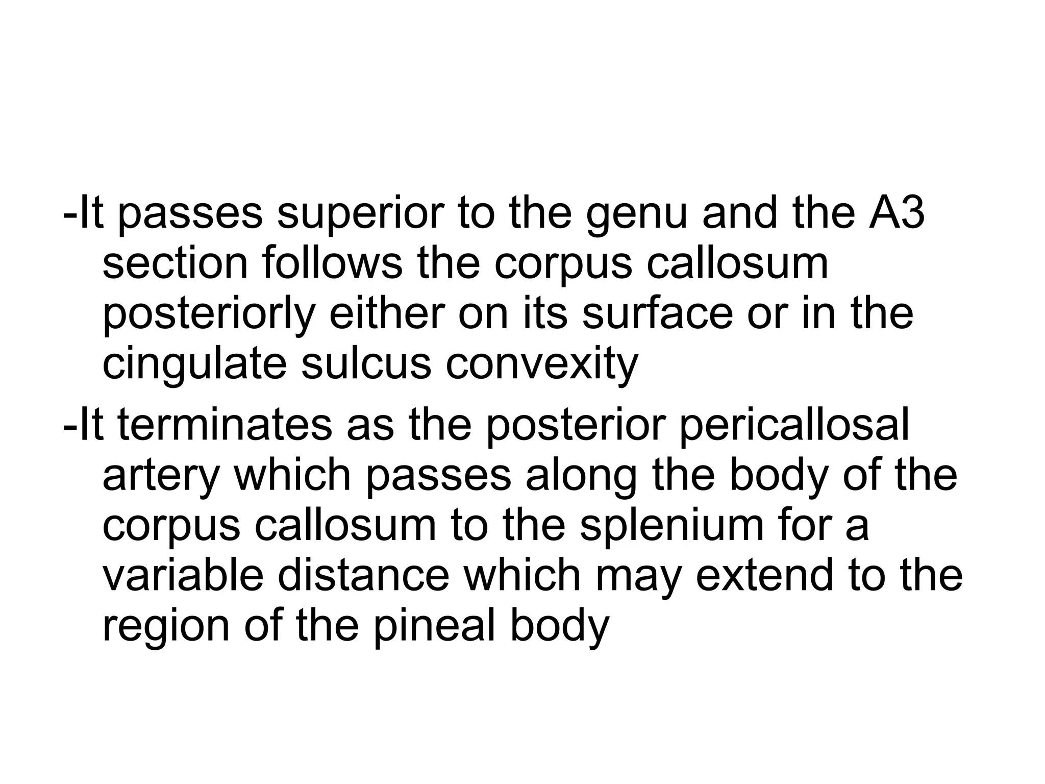 Anatomy of the anterior cerebral artery (ACA) | PPT
