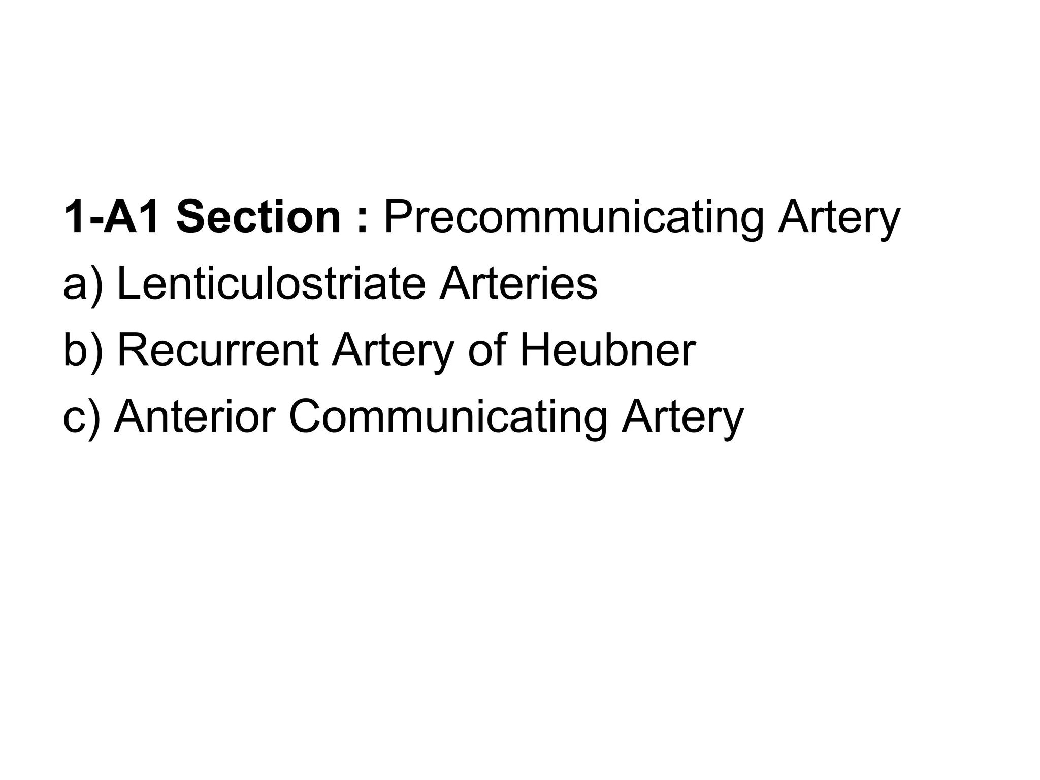 Anatomy of the anterior cerebral artery (ACA) | PPT