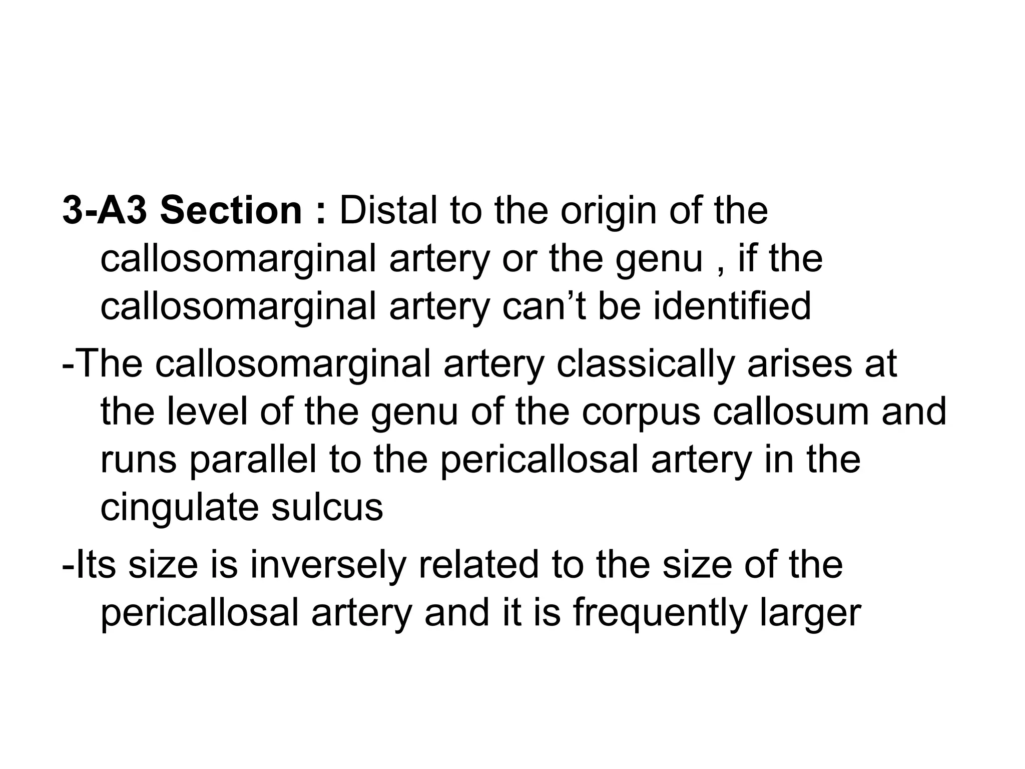 Anatomy of the anterior cerebral artery (ACA) | PPT