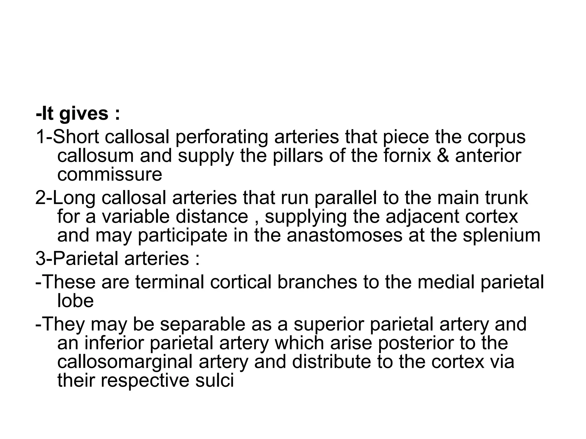 Anatomy of the anterior cerebral artery (ACA) | PPT