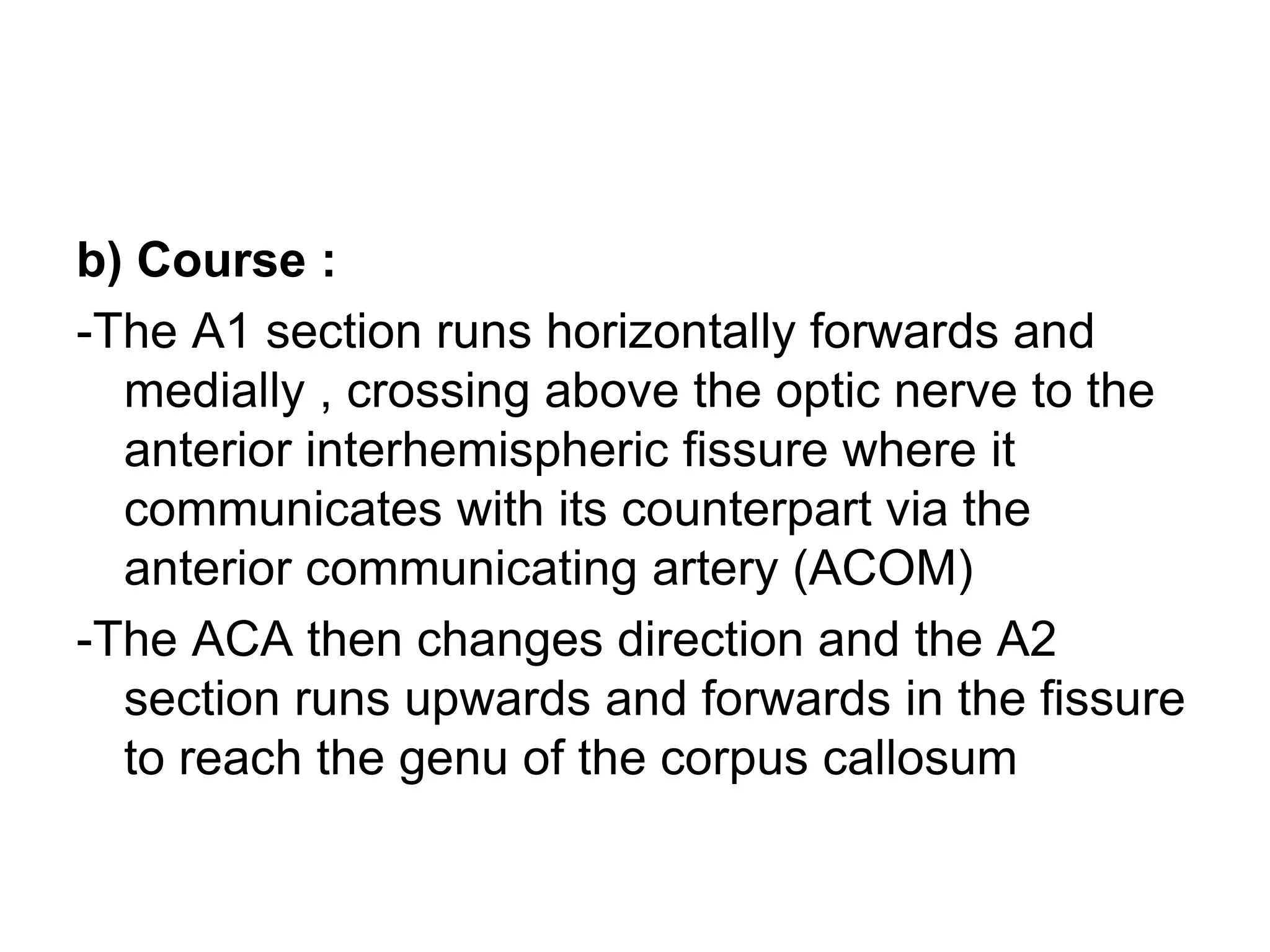 Anatomy of the anterior cerebral artery (ACA) | PPT