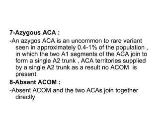 Anatomy of the anterior cerebral artery (ACA) | PPT
