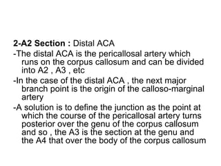 Anatomy of the anterior cerebral artery (ACA) | PPT