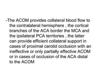 Anatomy of the anterior cerebral artery (ACA) | PPT