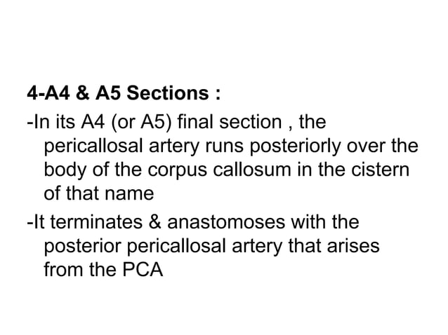 Anatomy of the anterior cerebral artery (ACA)