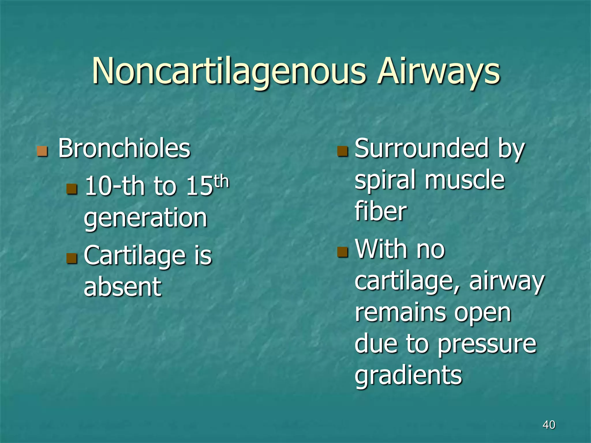 Anatomy of airway | PPT