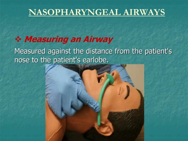Anatomy of airway | PPT