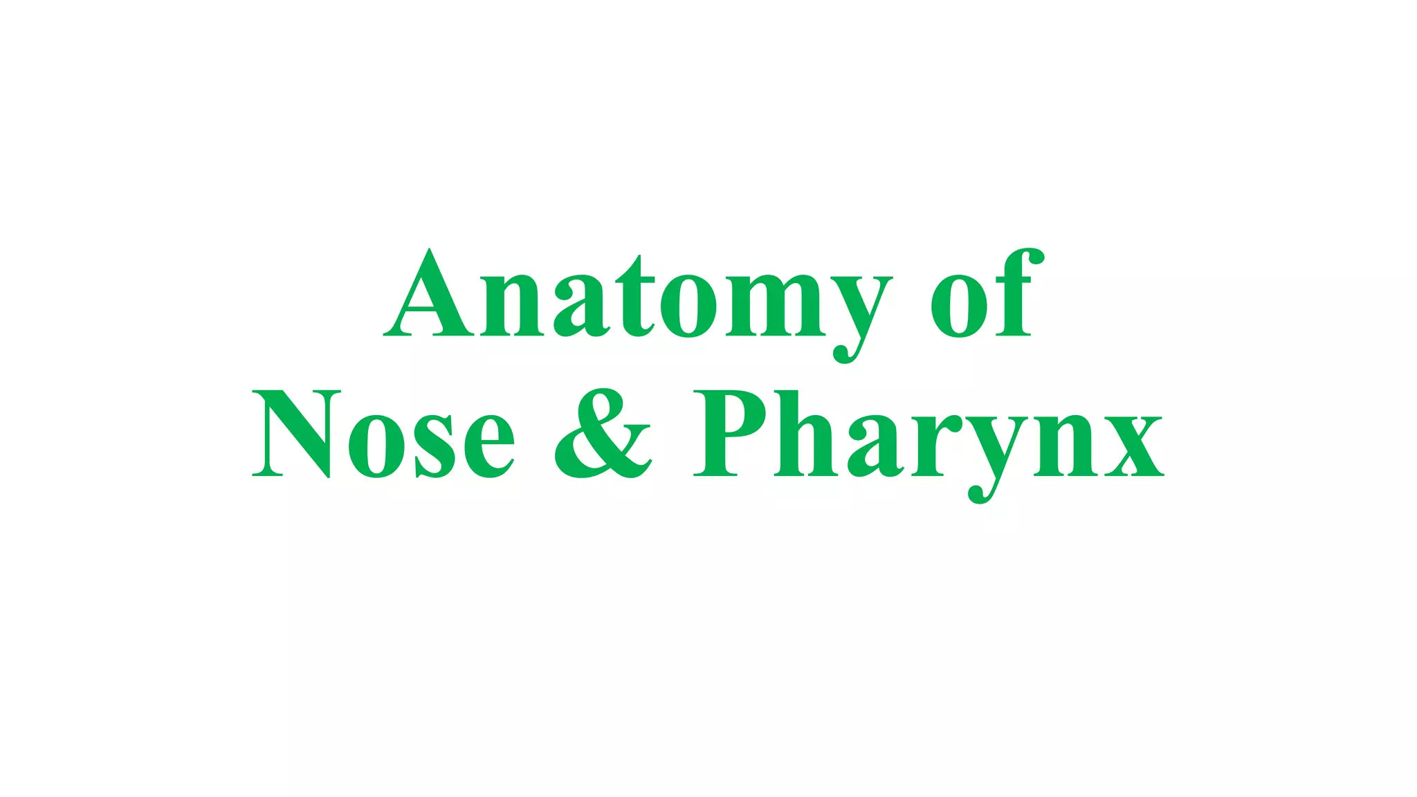 Anatomy (anatomy of air passage) | PDF