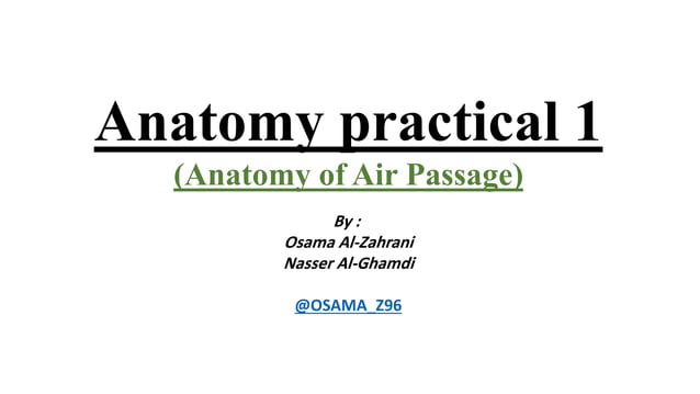 Anatomy (anatomy of air passage) | PDF | Ear, Nose and Throat ...