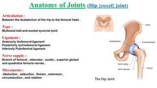 Anatomy (anatomy of bone, joint and muscles of lower limb) | PDF