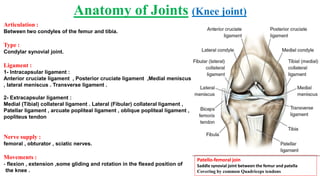 Anatomy (anatomy of bone, joint and muscles of lower limb) | PDF