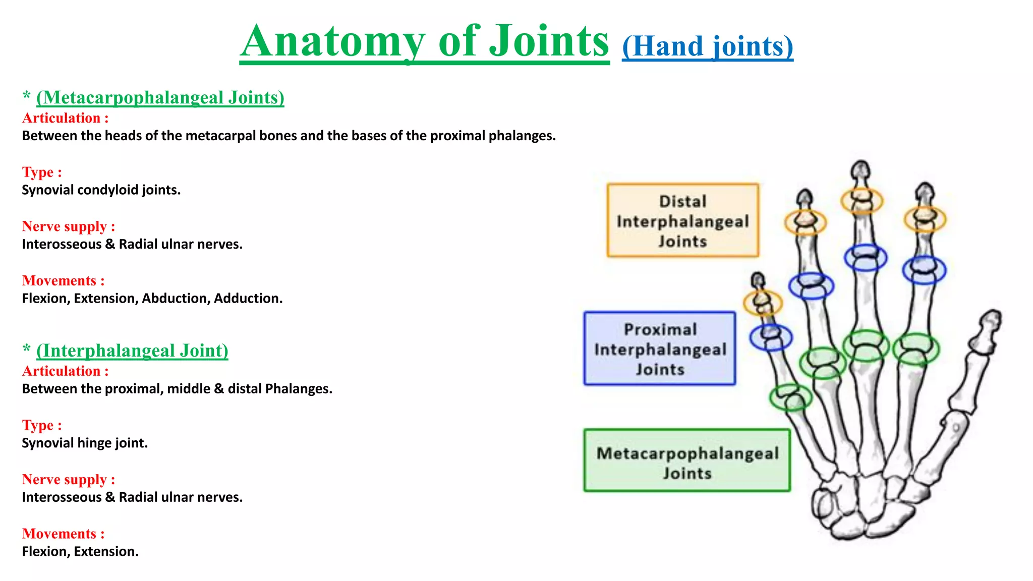 Anatomy (anatomy of bone, joint & muscles of upper limb) | PDF