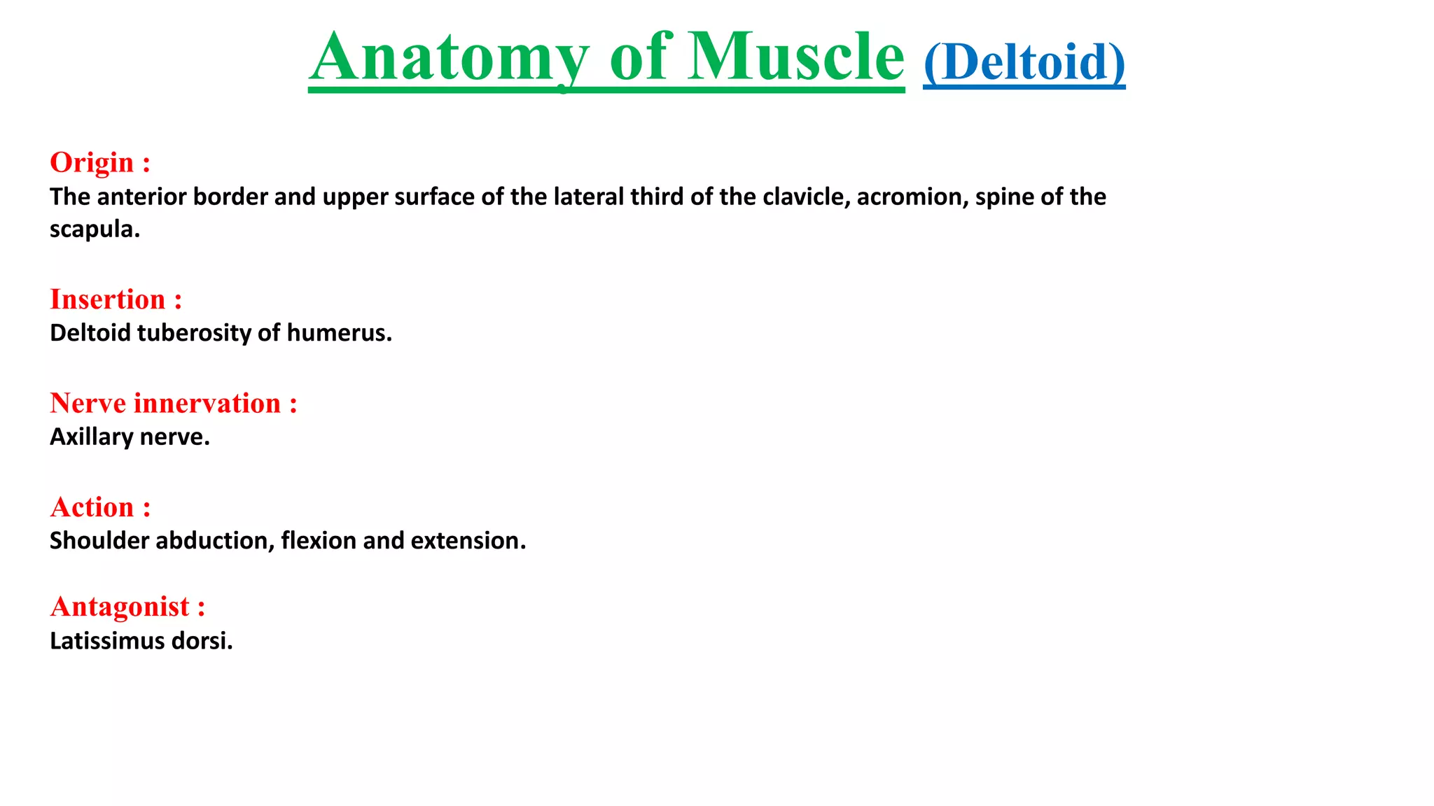 Anatomy (anatomy of bone, joint & muscles of upper limb) | PDF