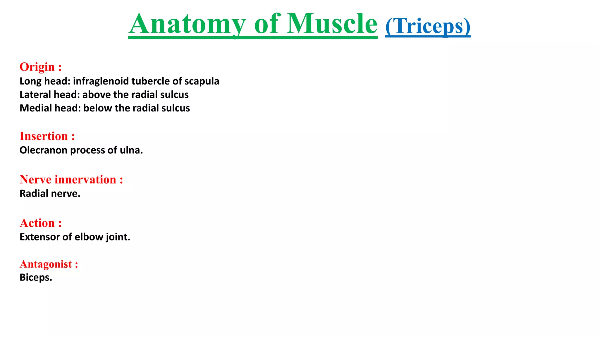 Anatomy (anatomy of bone, joint & muscles of upper limb) | PDF