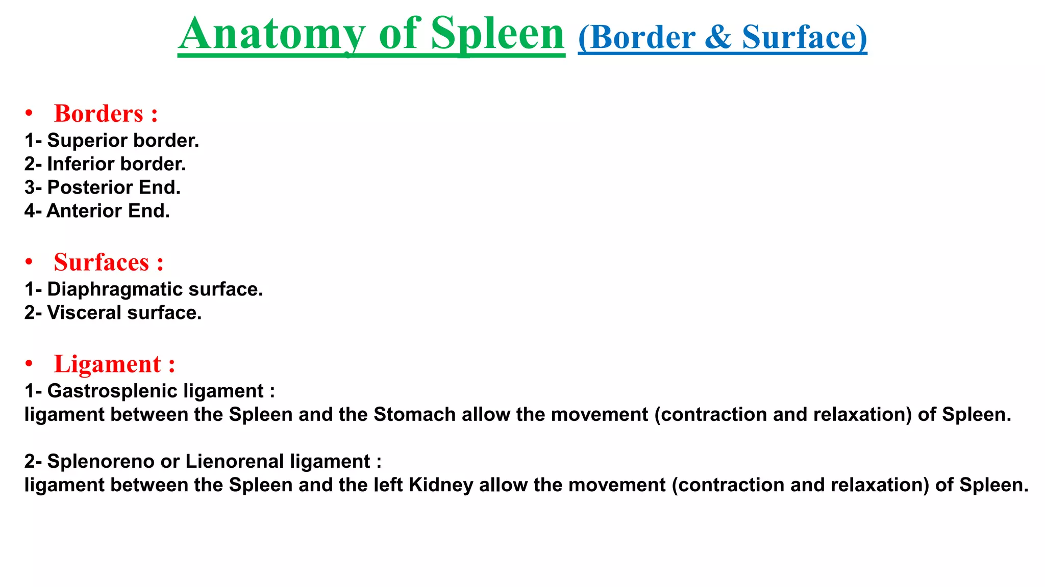 Anatomy (anatomy of immune system - spleen) | PDF