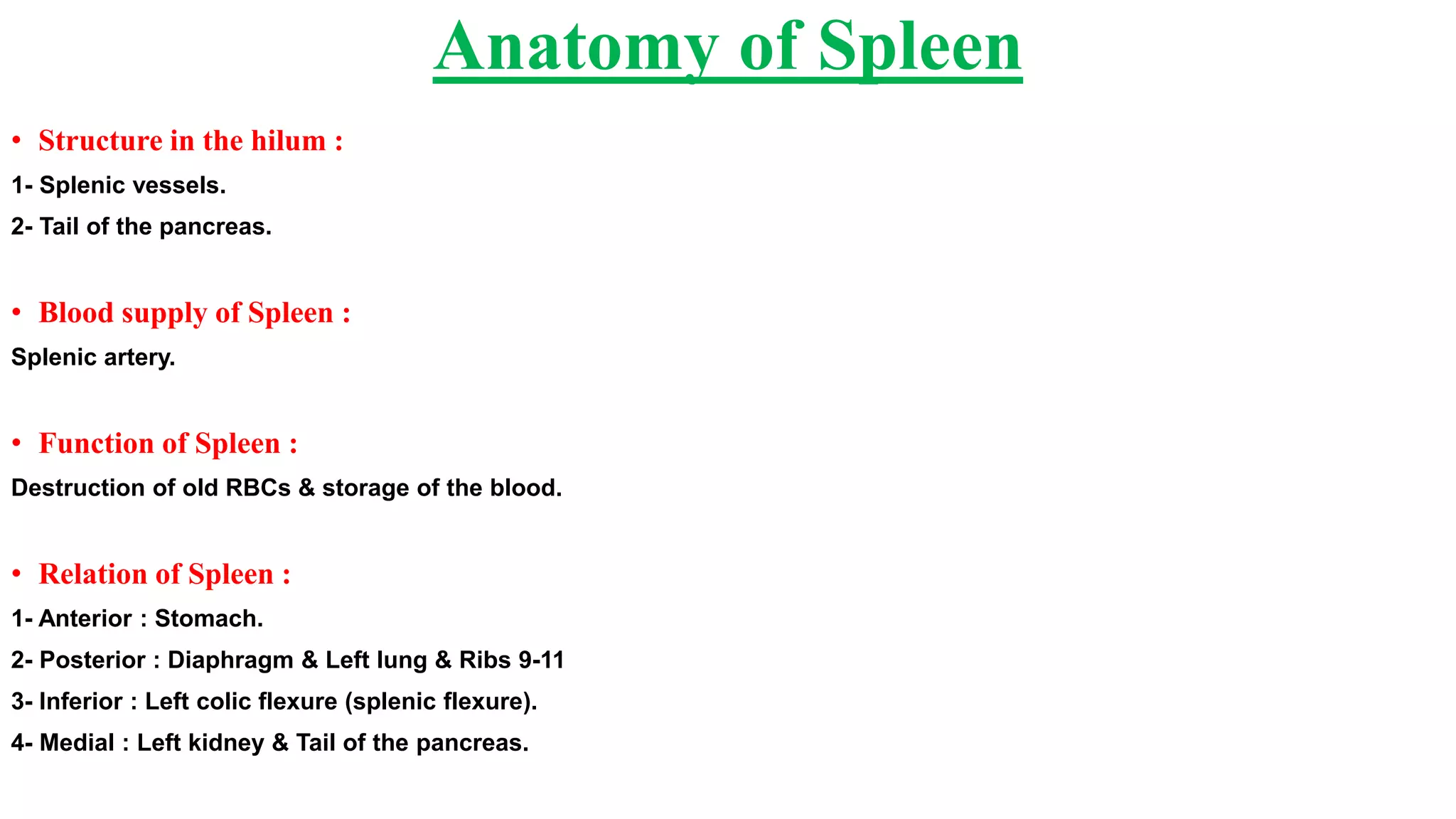 Anatomy (anatomy of immune system - spleen) | PDF