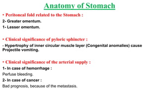 Anatomy (anatomy of mouth, pharynx, esophagus, stomach and duodenum) | PDF