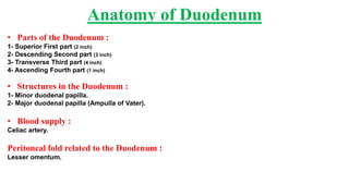 Anatomy (anatomy of mouth, pharynx, esophagus, stomach and duodenum) | PDF