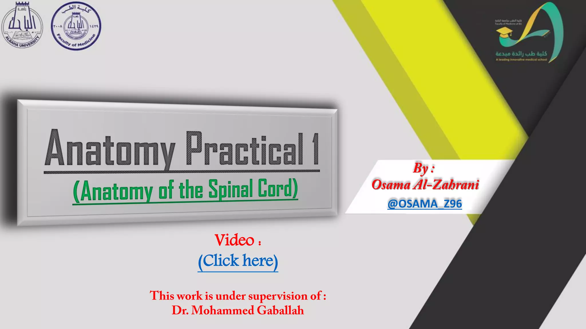 Anatomy (anatomy of spinal cord) | PPT