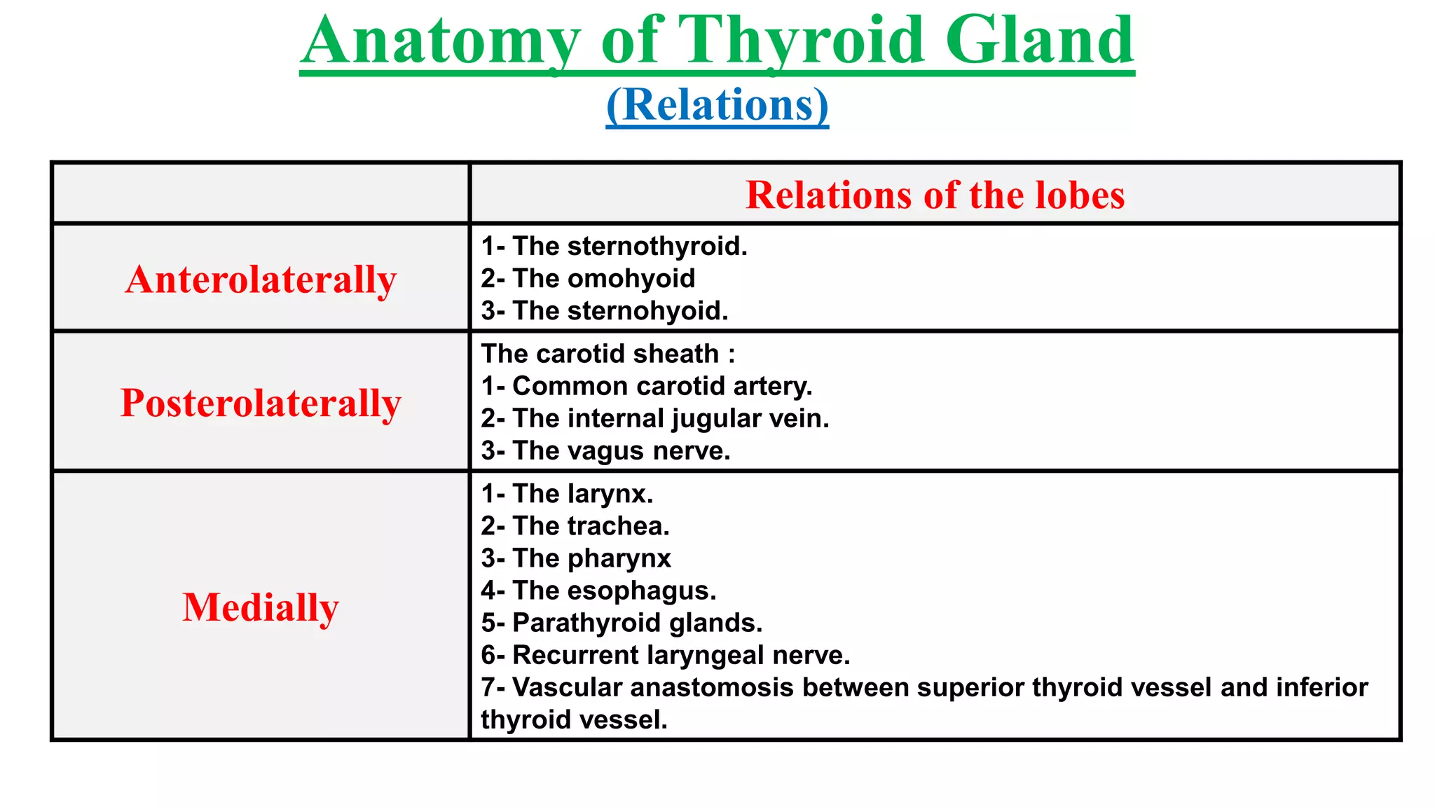 Anatomy (anatomy of thyroid gland) | PDF
