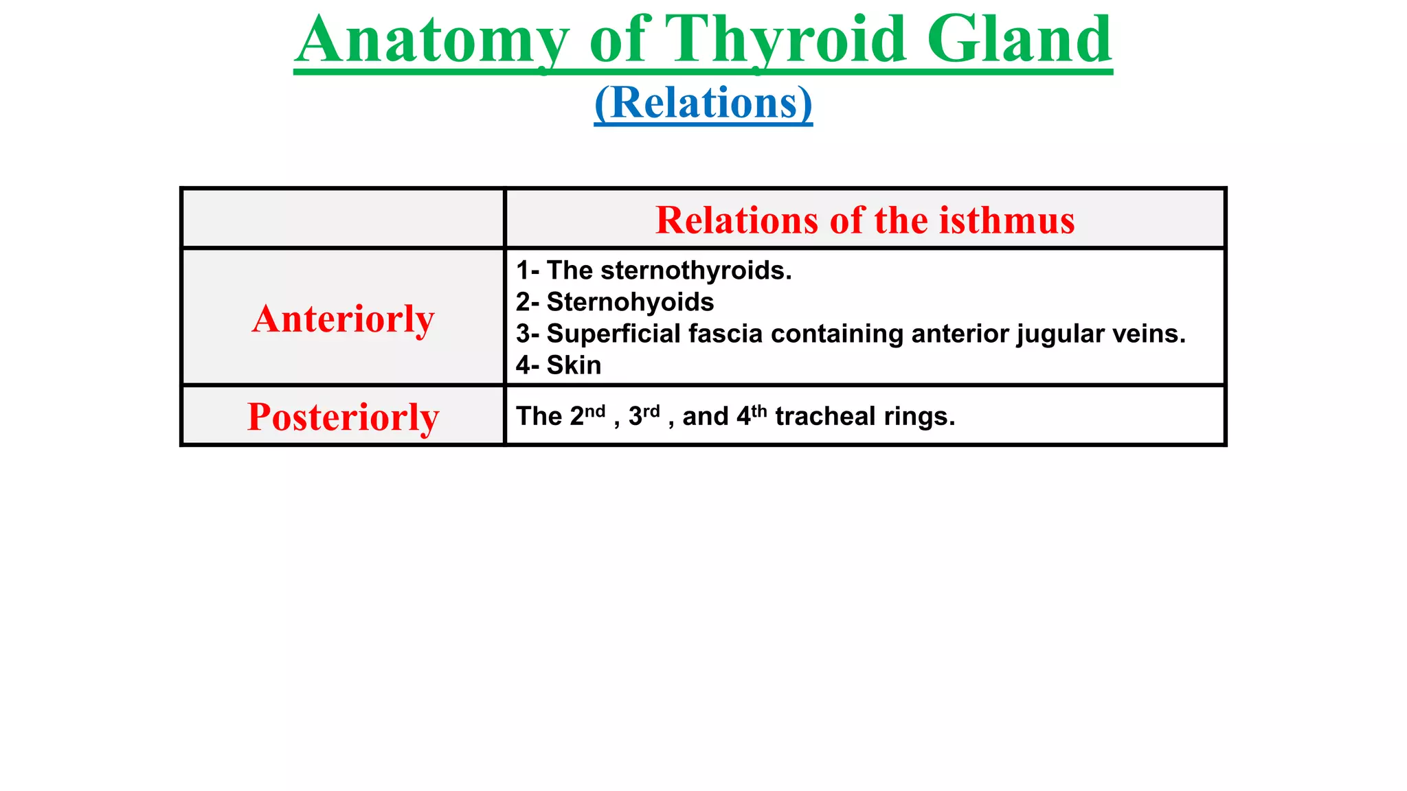 Anatomy (anatomy of thyroid gland) | PDF