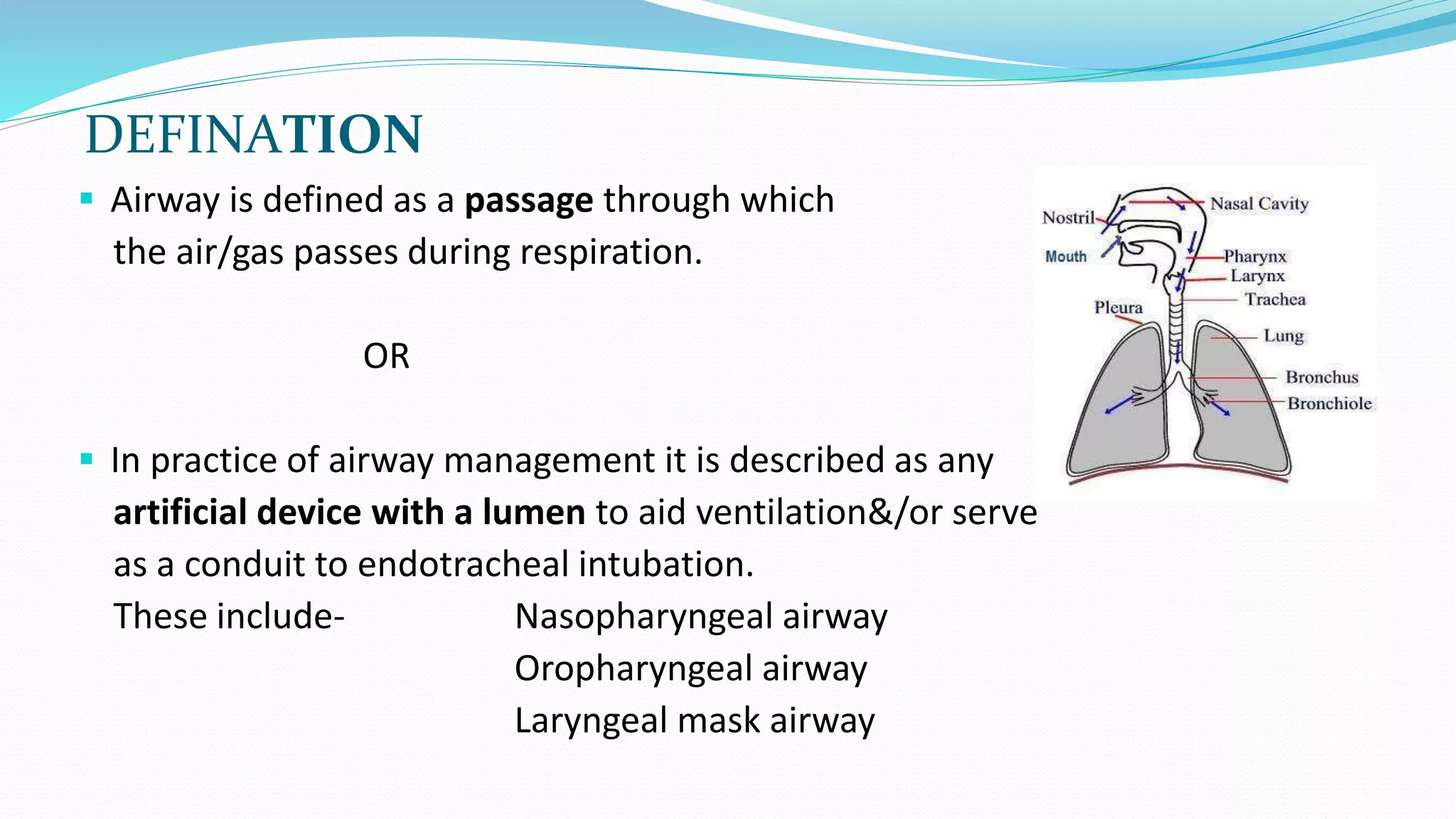 Anatomy and assessment of Airway | PPTX