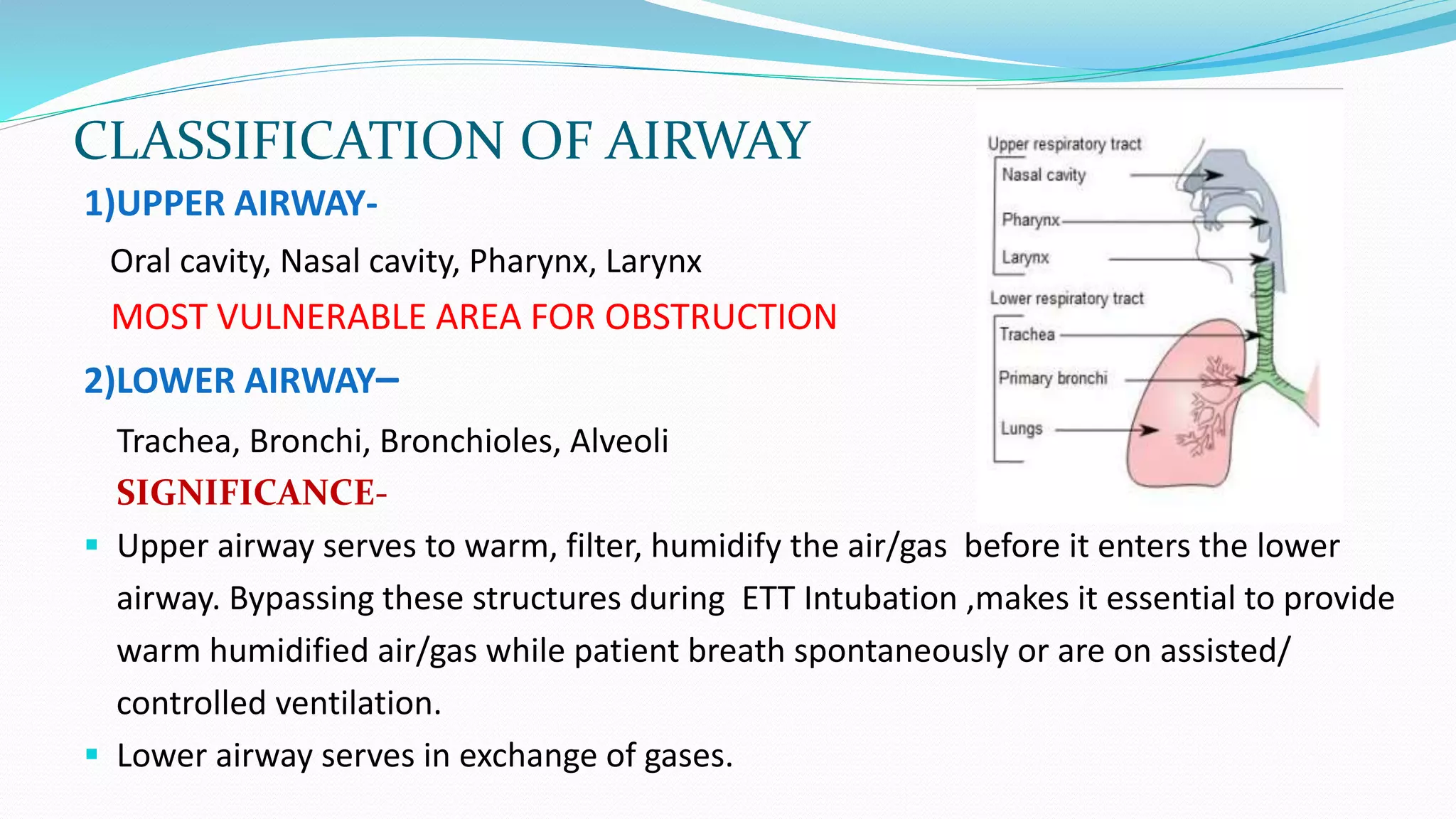 Anatomy and assessment of Airway | PPTX
