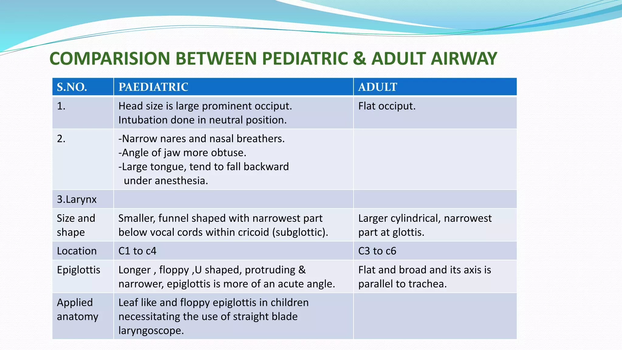Anatomy and assessment of Airway | PPTX