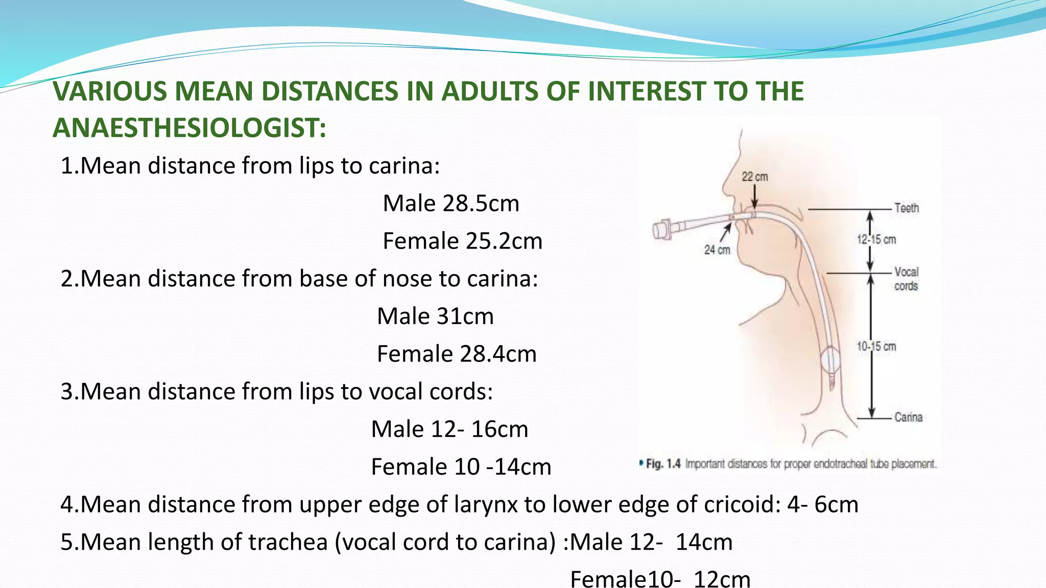 Anatomy and assessment of Airway | PPTX