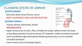 Anatomy and assessment of Airway | PPTX
