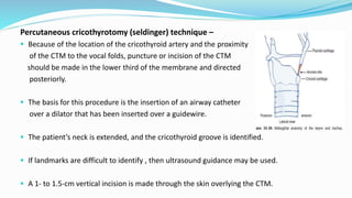 Anatomy and assessment of Airway | PPTX