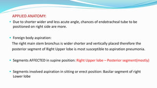 Anatomy and assessment of Airway | PPTX