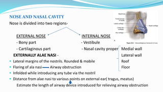 Anatomy and assessment of Airway | PPTX