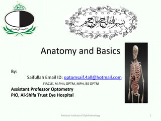 Anatomy and basics | PPT