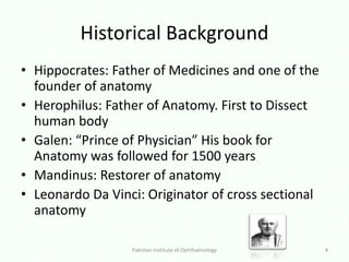 Anatomy and basics | PPT