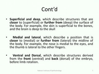 Anatomy and basics | PPT
