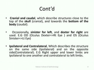 Anatomy and basics | PPT