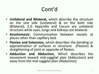 Anatomy and basics | PPT