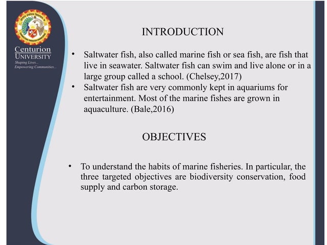 Marine habitats.Anatomy and biology of fish and shellfish.pptx