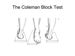 Anatomy and biomechanics of the foot and ankle - Derek Park | PPT