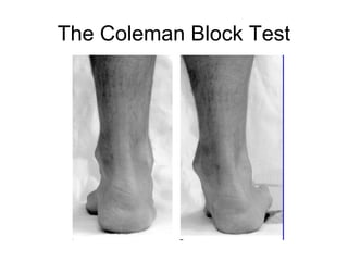Anatomy and biomechanics of the foot and ankle - Derek Park | PPT