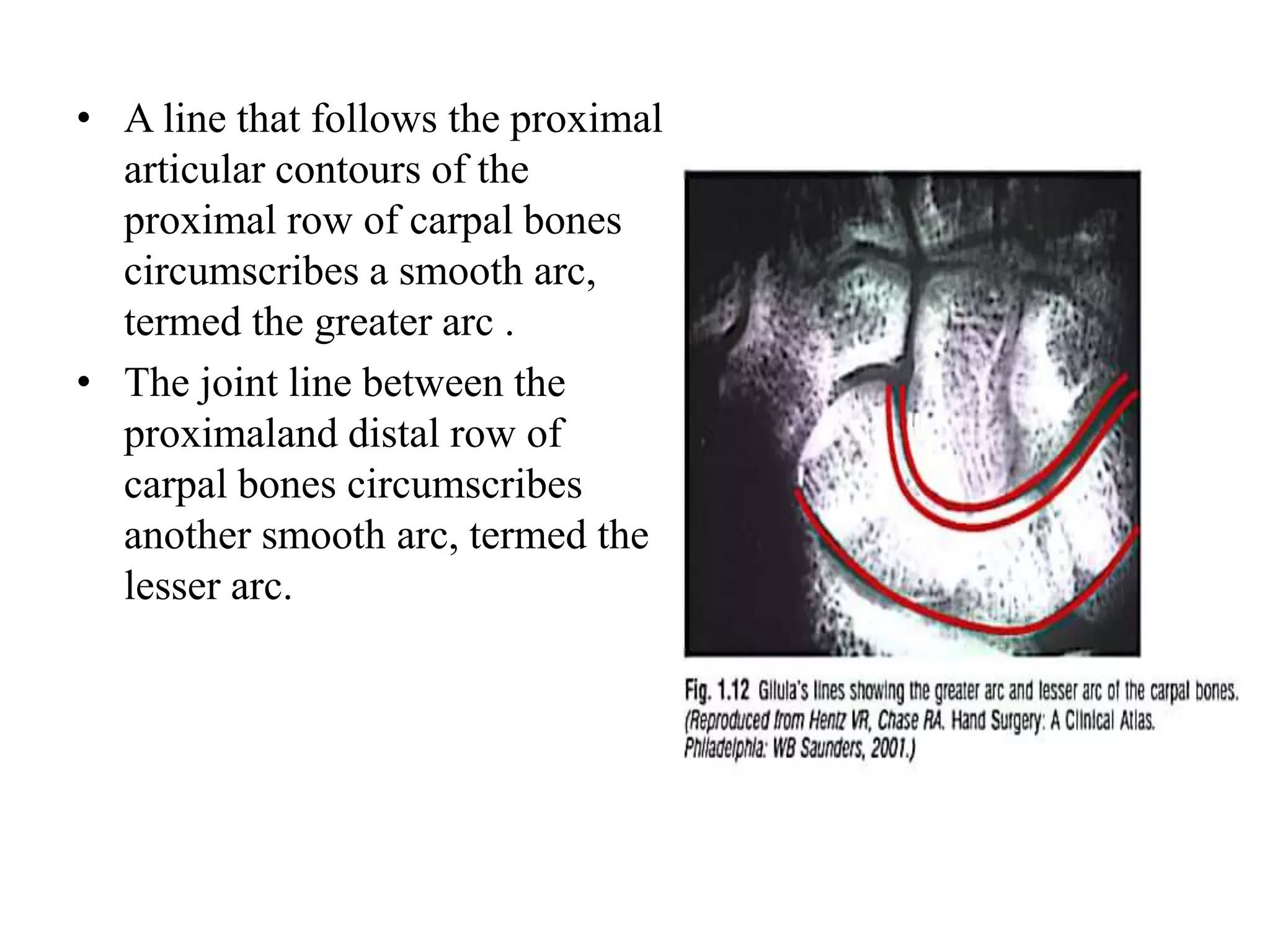 Anatomy and biomechanics of hand | PPTX
