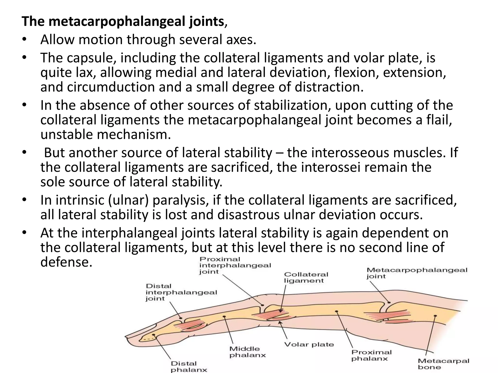 Anatomy and biomechanics of hand | PPTX
