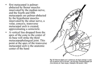 Anatomy and biomechanics of hand | PPTX