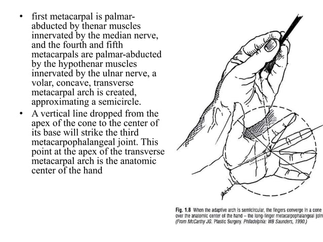 Anatomy and biomechanics of hand | PPTX | Death, Injury, or Military ...