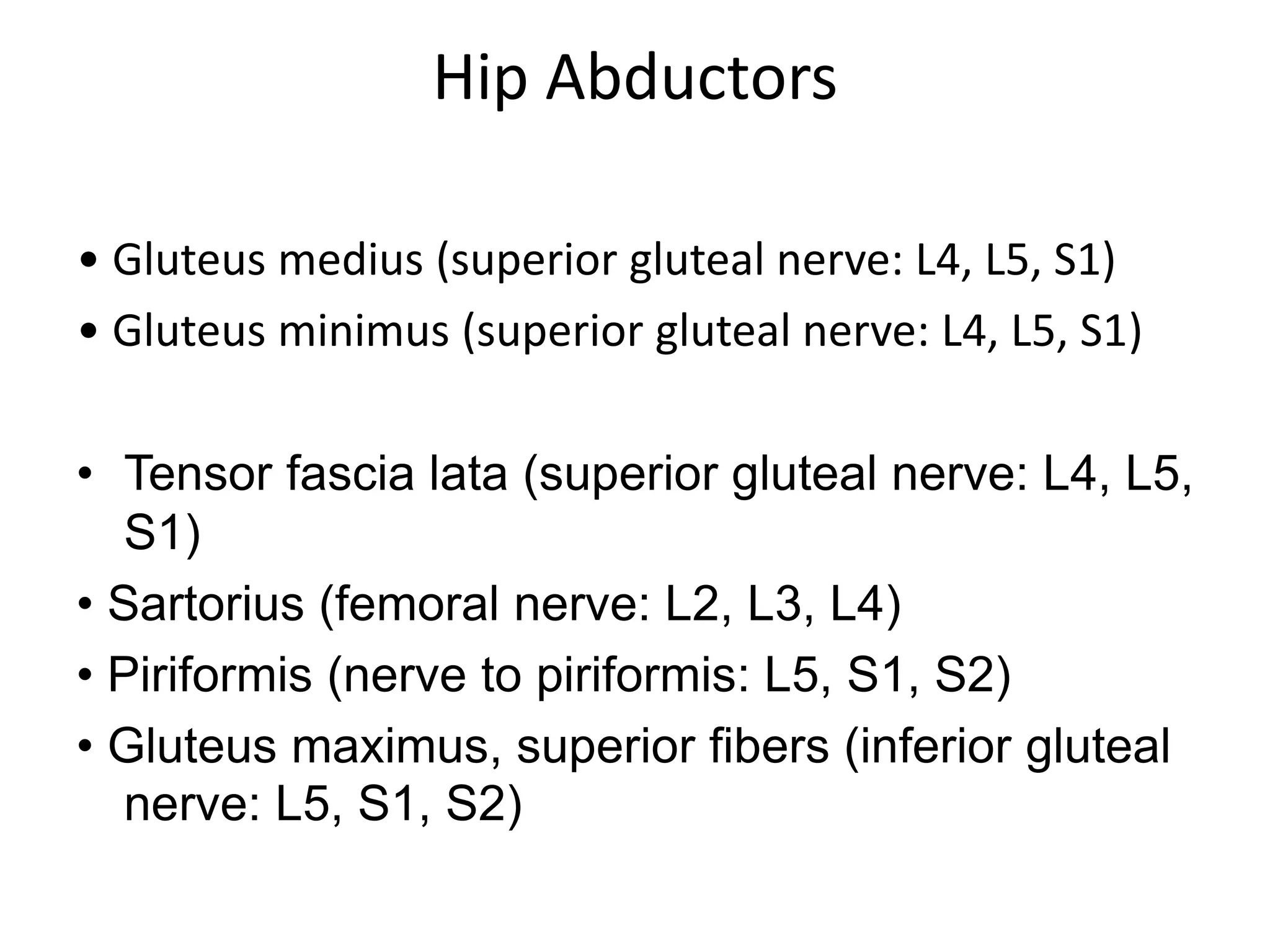 Anatomy and biomechanics of Hip joint | PPTX