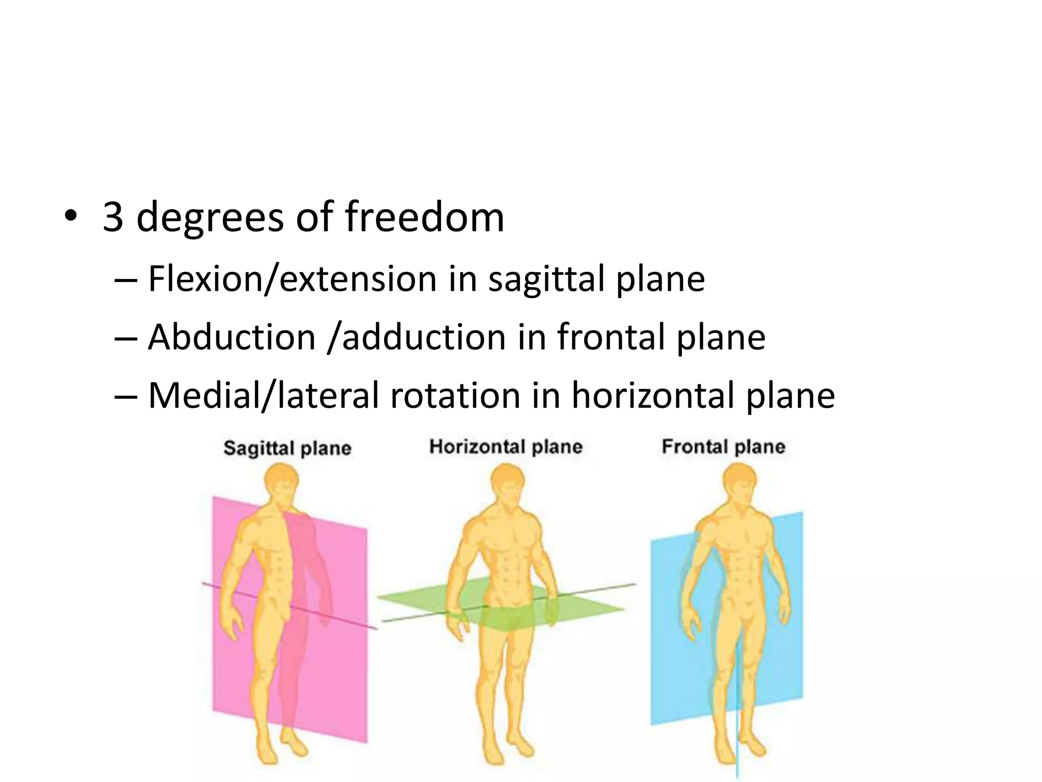 Anatomy and biomechanics of Hip joint | PPTX