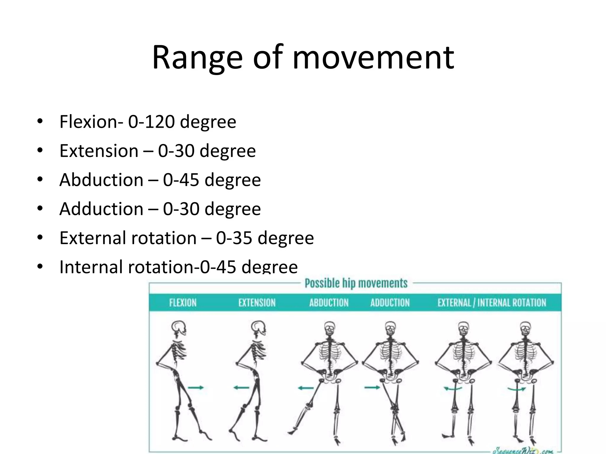 Anatomy and biomechanics of Hip joint | PPTX