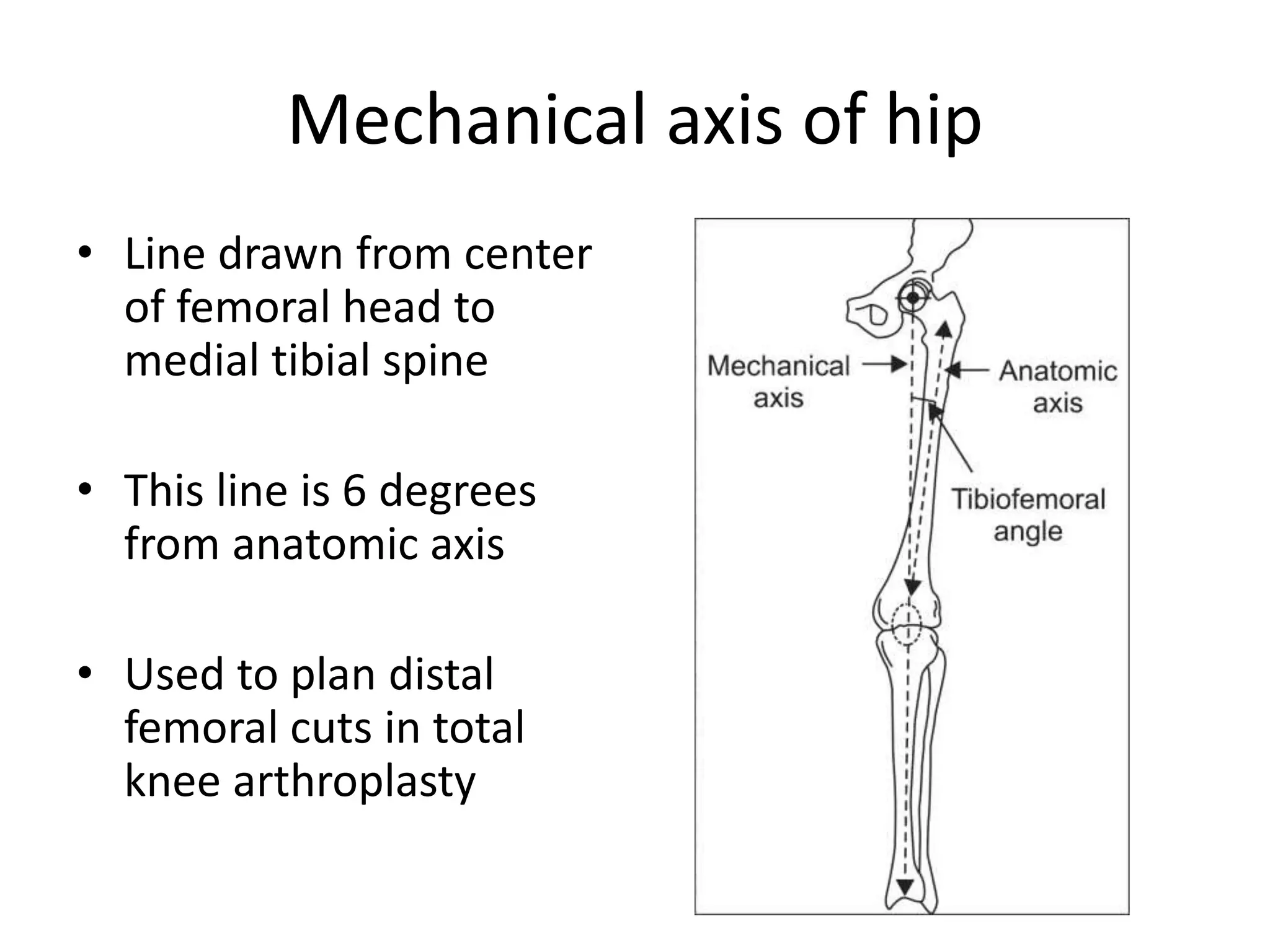 Anatomy and biomechanics of Hip joint | PPTX