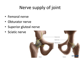 Anatomy and biomechanics of Hip joint | PPTX